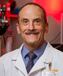 Segal Receives American Heart Association Research Grant - University ...